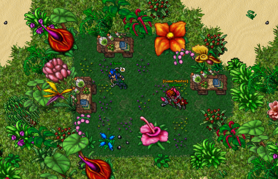 Custom Tibia Mmorpg