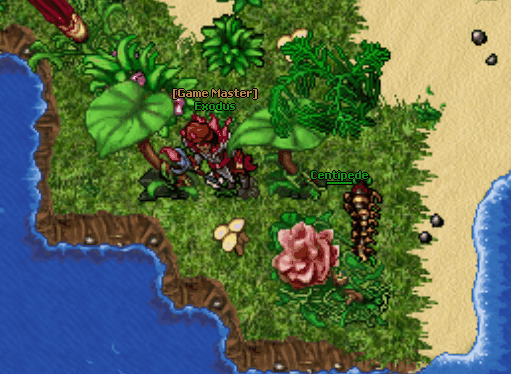 Custom Tibia Mmorpg